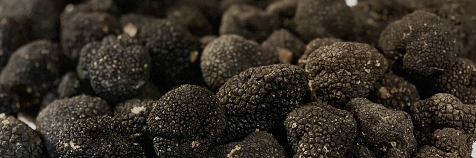 Black Gold – 株式会社AUTENTICO